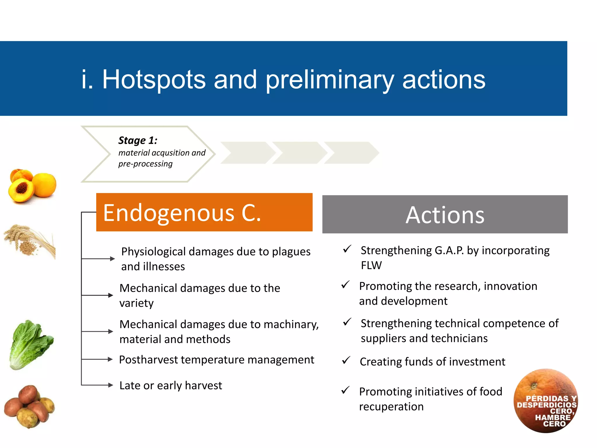 Food Loss and Waste Hotspots Analysis and Preliminary Actions using a ...