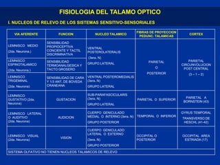 Anatomía y Fisiología del Tálamo Óptico - AVC | PPTX