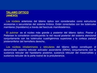 Anatomía y Fisiología del Tálamo Óptico - AVC | PPTX
