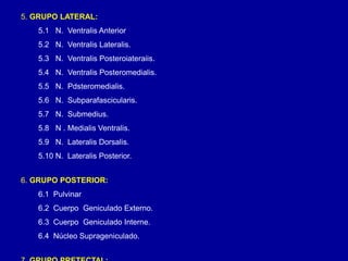Anatomía y Fisiología del Tálamo Óptico - AVC | PPTX