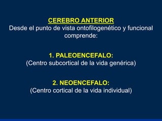 Anatomía y Fisiología del Tálamo Óptico - AVC | PPTX