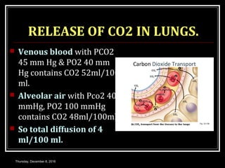 TRANSPORT OF CARBON DIOXIDE | PPT