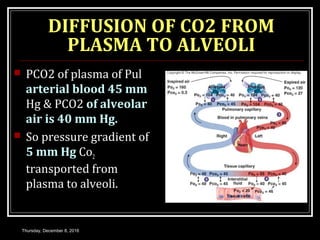 TRANSPORT OF CARBON DIOXIDE | PPT