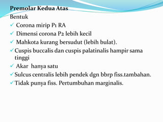 5. anatomi gigi premolar 1 & 2 atas | PPTX