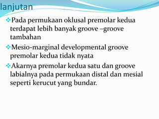 5. anatomi gigi premolar 1 & 2 atas | PPTX