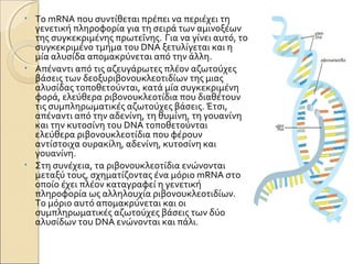 Η ροή της γενετικής πληροφορίας - μεταγραφή & μετάφραση | PPT
