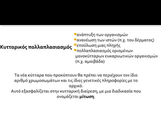 Κυτταρική Διαίρεση | PPT
