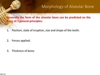 5. alveolar bone in health part a dr-ibrahim_shaikh | PPTX