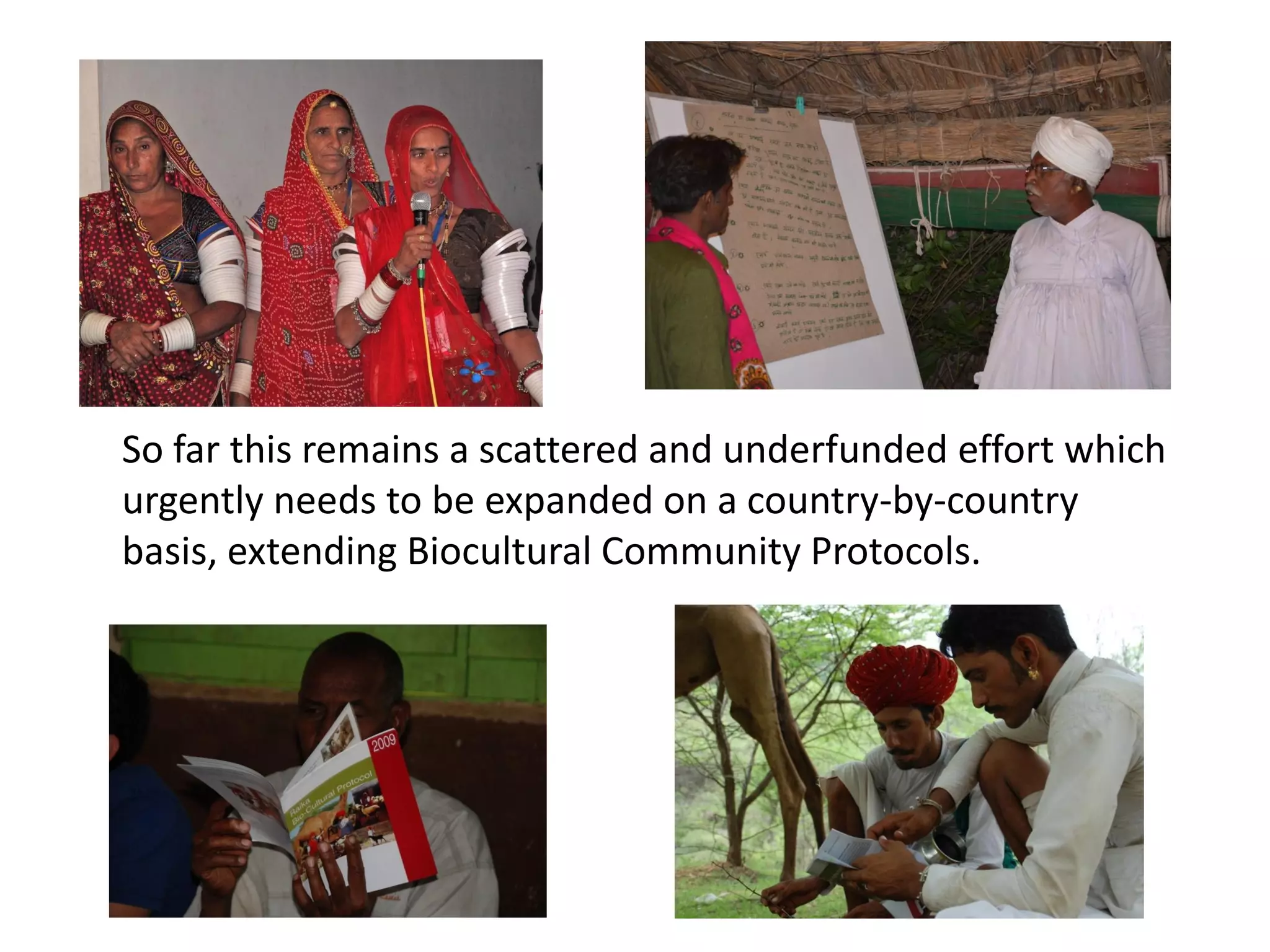 Biocultural Community Protocols: A tool for Strengthening the Rights of ...