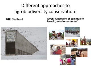 Biocultural Community Protocols: A tool for Strengthening the Rights of ...