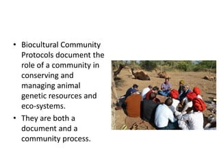 Biocultural Community Protocols: A tool for Strengthening the Rights of ...