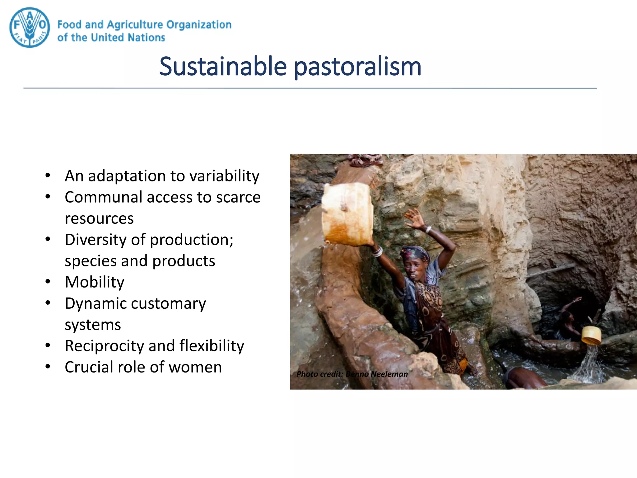 Improving Governance of Pastoral Lands | PDF