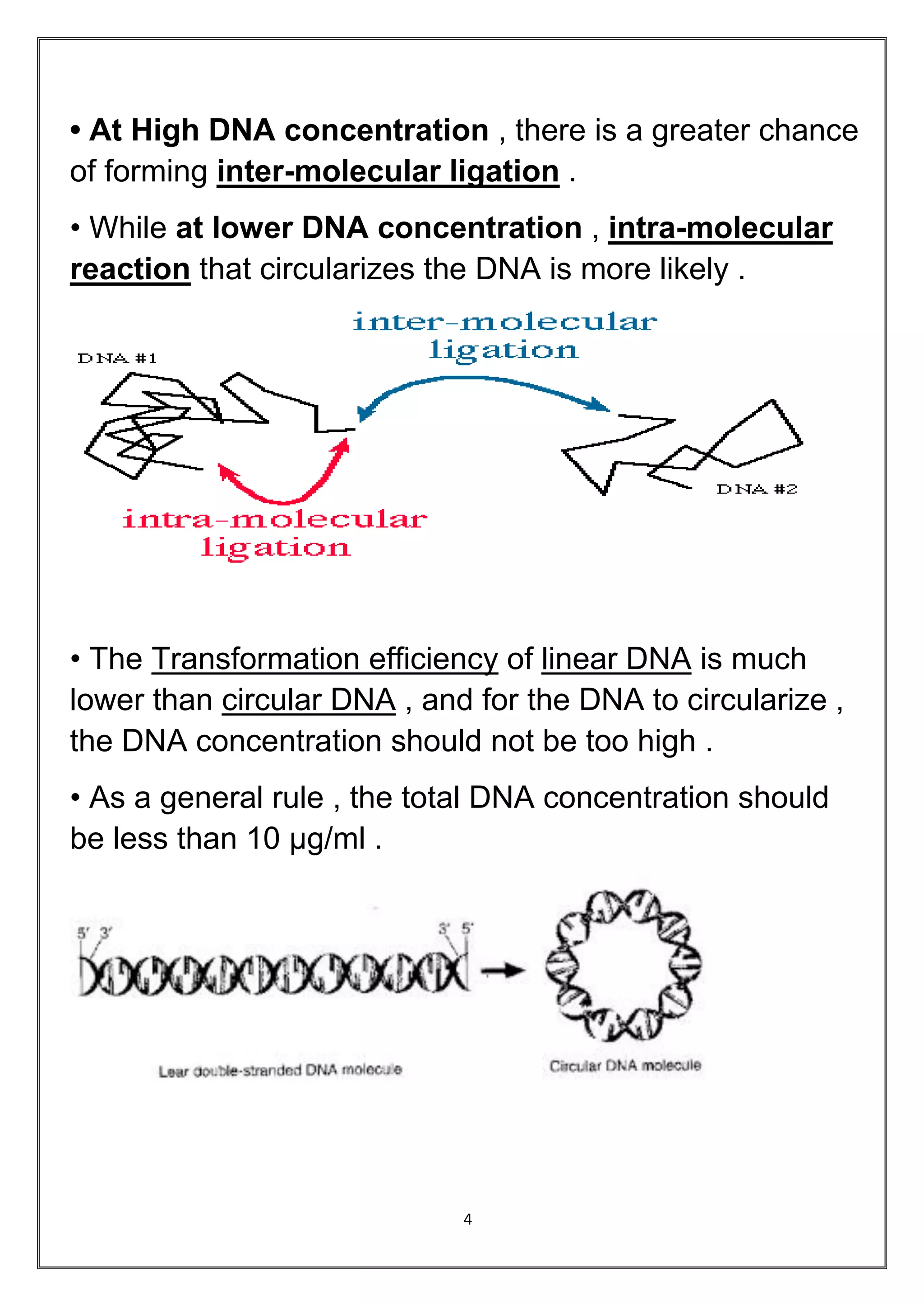 DNA Ligation | PDF