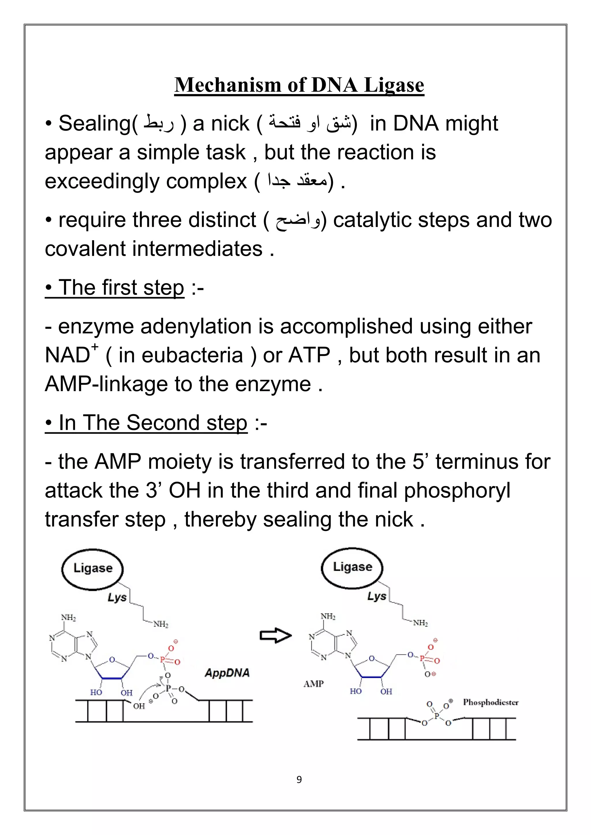 DNA Ligation | PDF