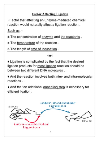 DNA Ligation | PDF