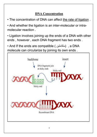 DNA Ligation | PDF