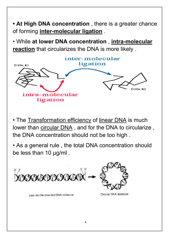 DNA Ligation | PDF | Chemistry | Science