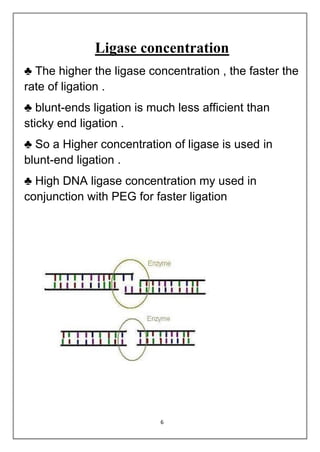 DNA Ligation | PDF