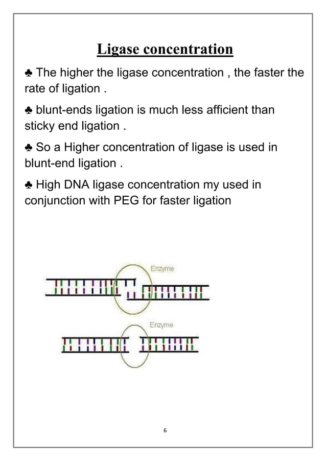 DNA Ligation | PDF | Chemistry | Science