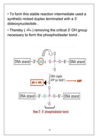 DNA Ligation | PDF