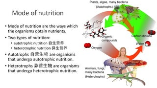 5.0 mode of nutrition UEC Senior 1 Biology 独中高一生物 | PPTX