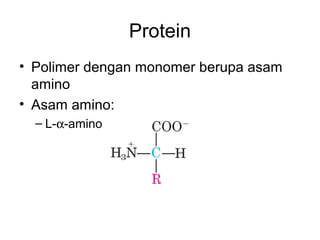5. protein | PPT