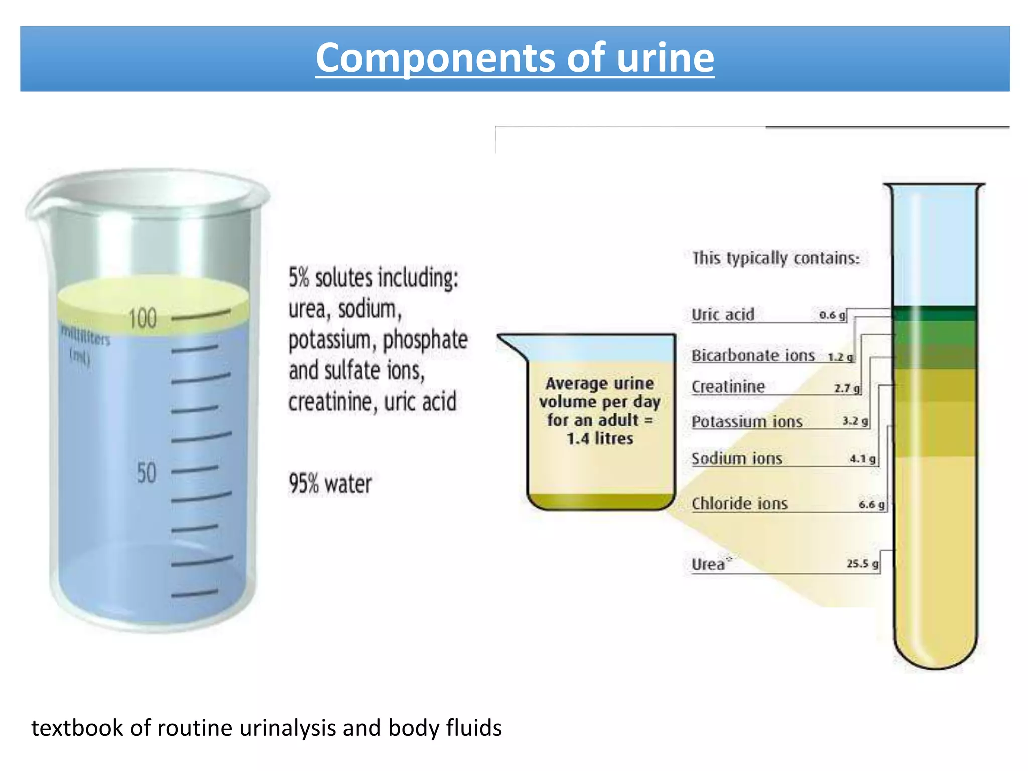 Urine analysis | PPTX