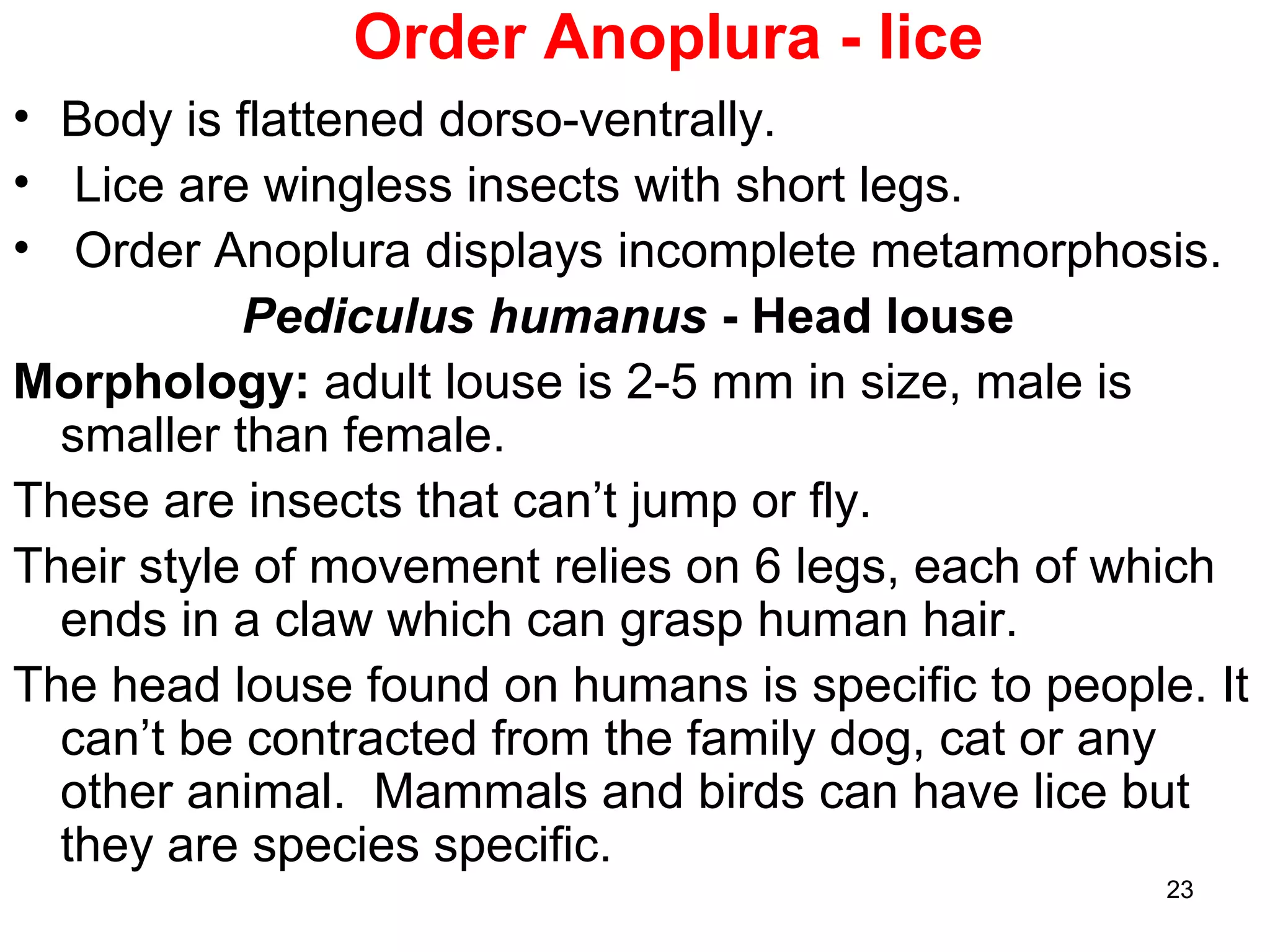 Phylum Arthropoda as causative agents | PPT