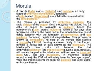 General Embryology | PPTX