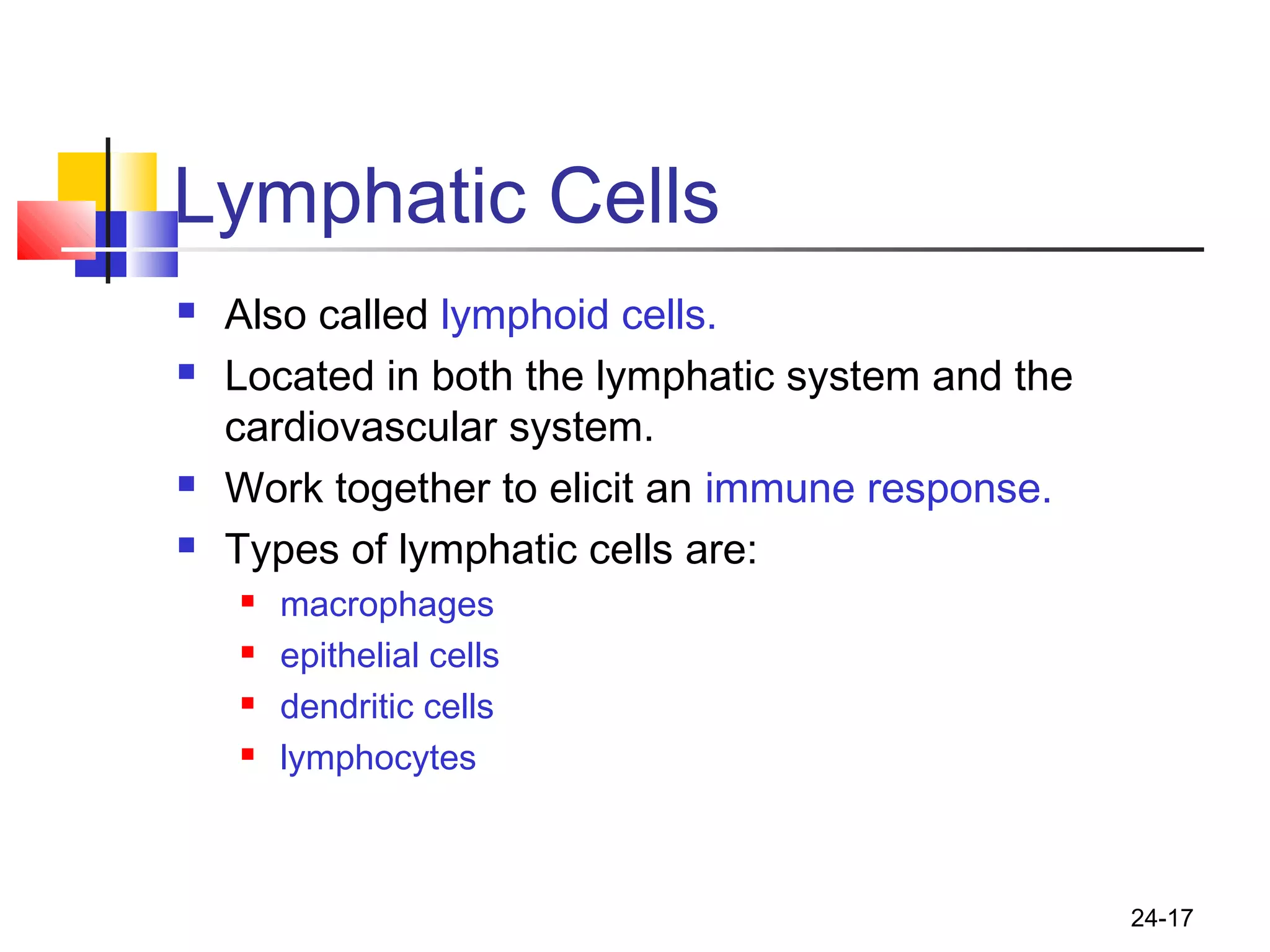 Histology of Lymphatic system | PPT