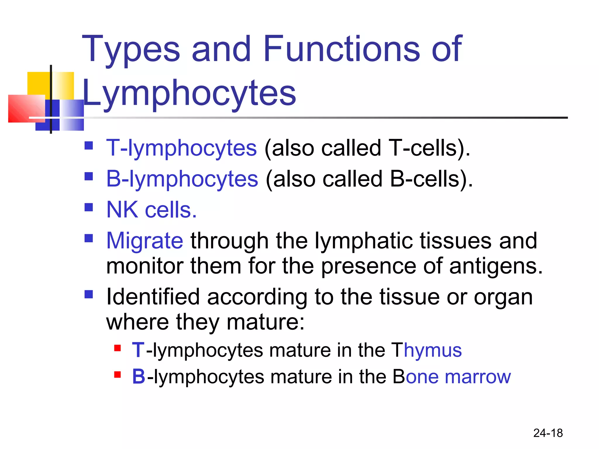 Histology of Lymphatic system | PPT