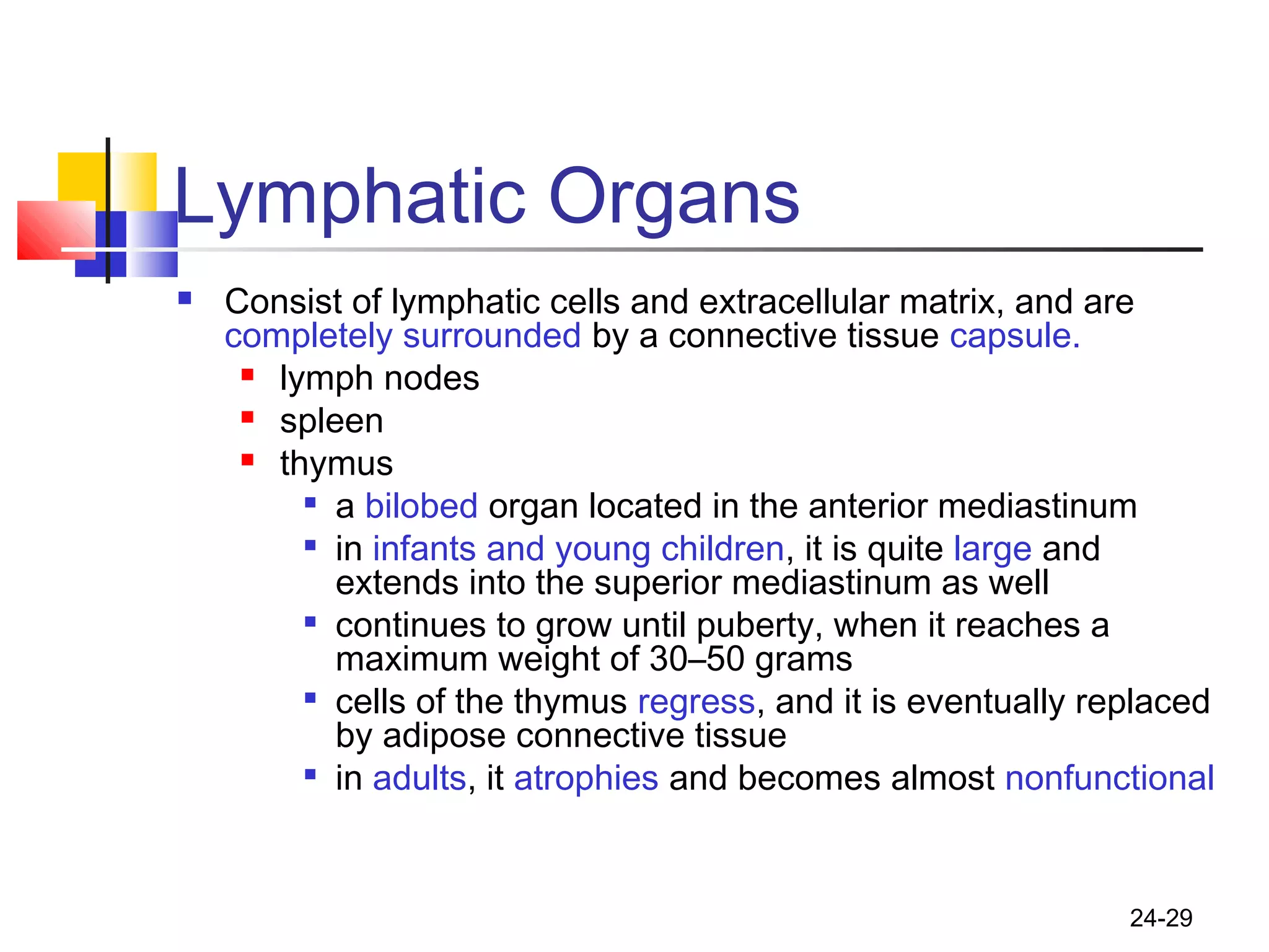 Histology of Lymphatic system | PPT