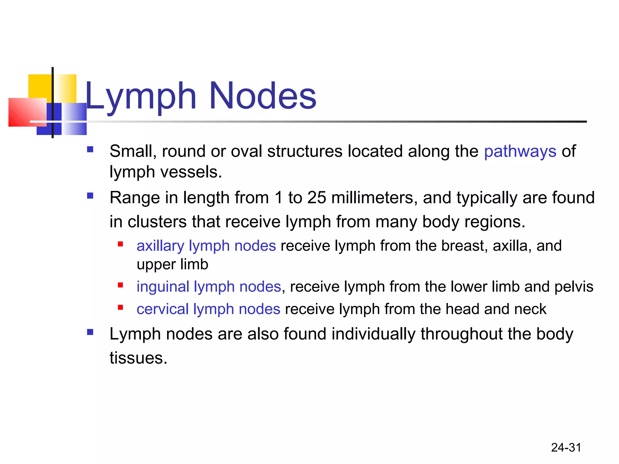 Histology of Lymphatic system | PPT