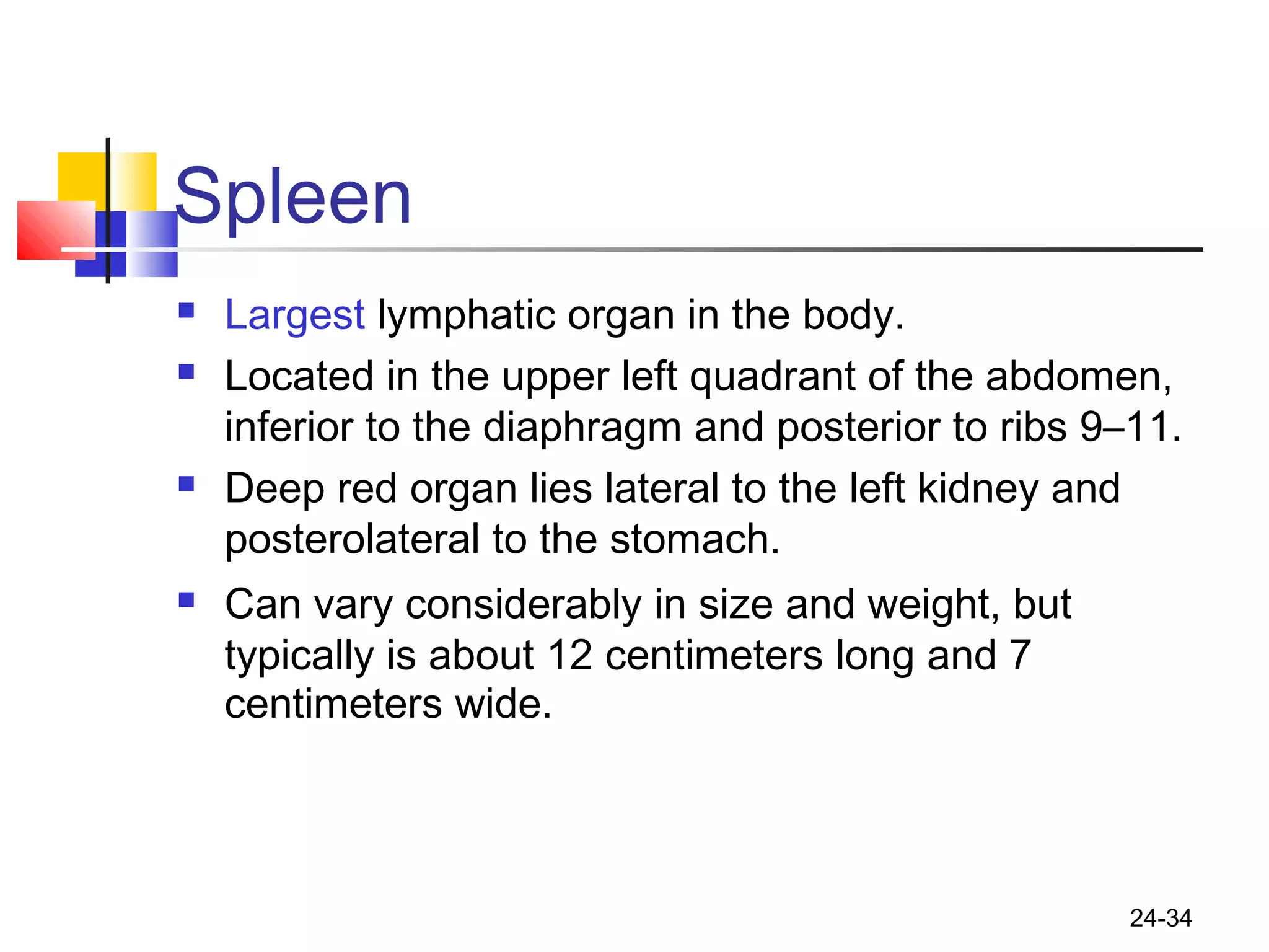 Histology of Lymphatic system | PPT