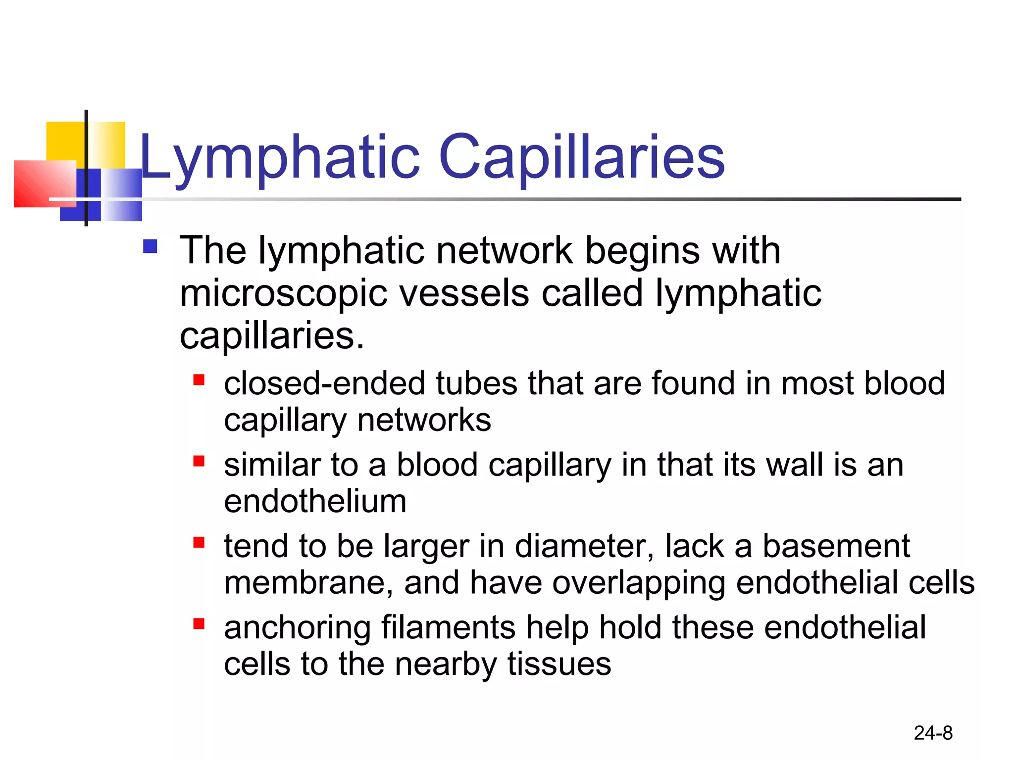 Histology of Lymphatic system | PPT