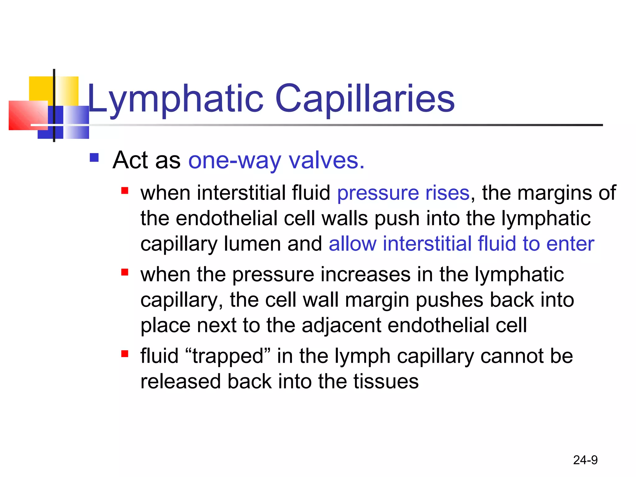 Histology of Lymphatic system | PPT | Biological Sciences | Science