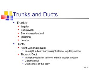 Histology of Lymphatic system | PPT