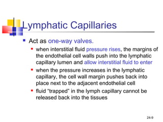 Histology of Lymphatic system | PPT