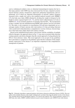 MANAGEMENT GUIDELINES FOR CHRONIC OBTRUCTIVE PULMONARY DISEASE | PDF