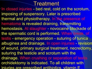 Urolithiasis. Edematous Scrotum Syndrome. Traumatic injuries of Urinary ...