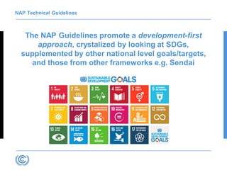 Overview of the process to formulate and implement NAPs | PDF