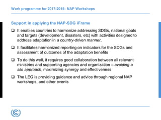 Overview of the process to formulate and implement NAPs | PPT