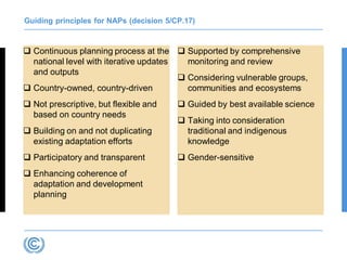 Overview of the process to formulate and implement NAPs | PPT