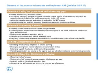 Overview of the process to formulate and implement NAPs | PPT