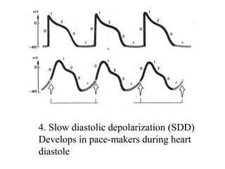 Heart Physiology | PPT