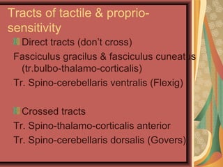 Physiology of Spinal cord | PPT