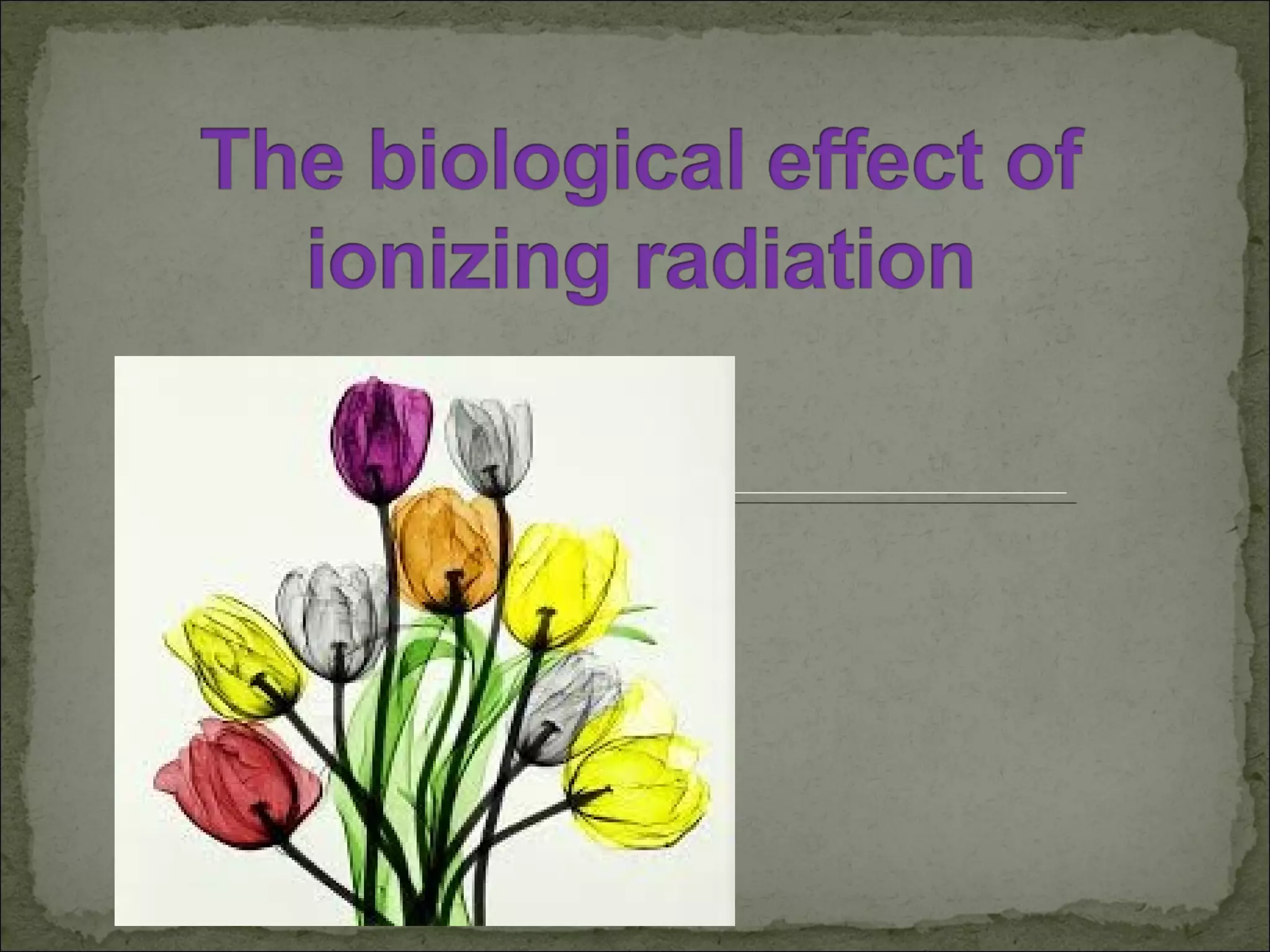 Biological effects of ionizing radiations | PPT