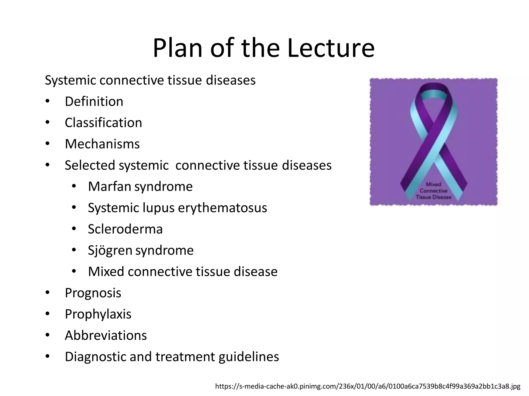 Systemic Connective Tissue Diseases | PPTX