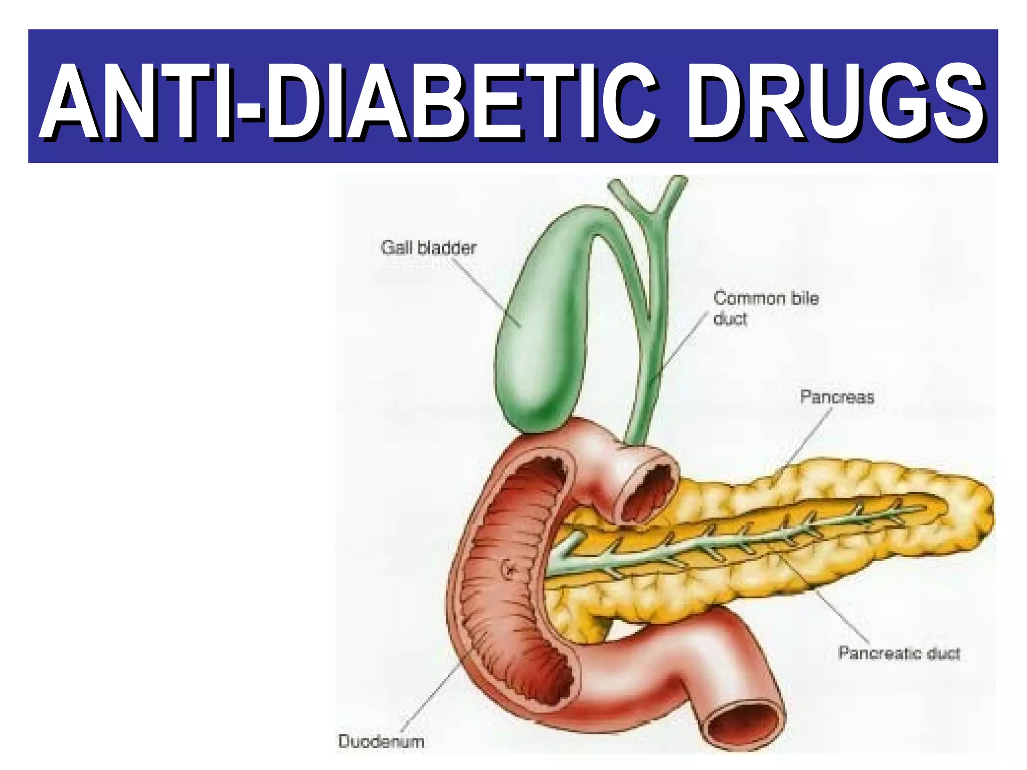 Anti-Diabetic drugs | PPT