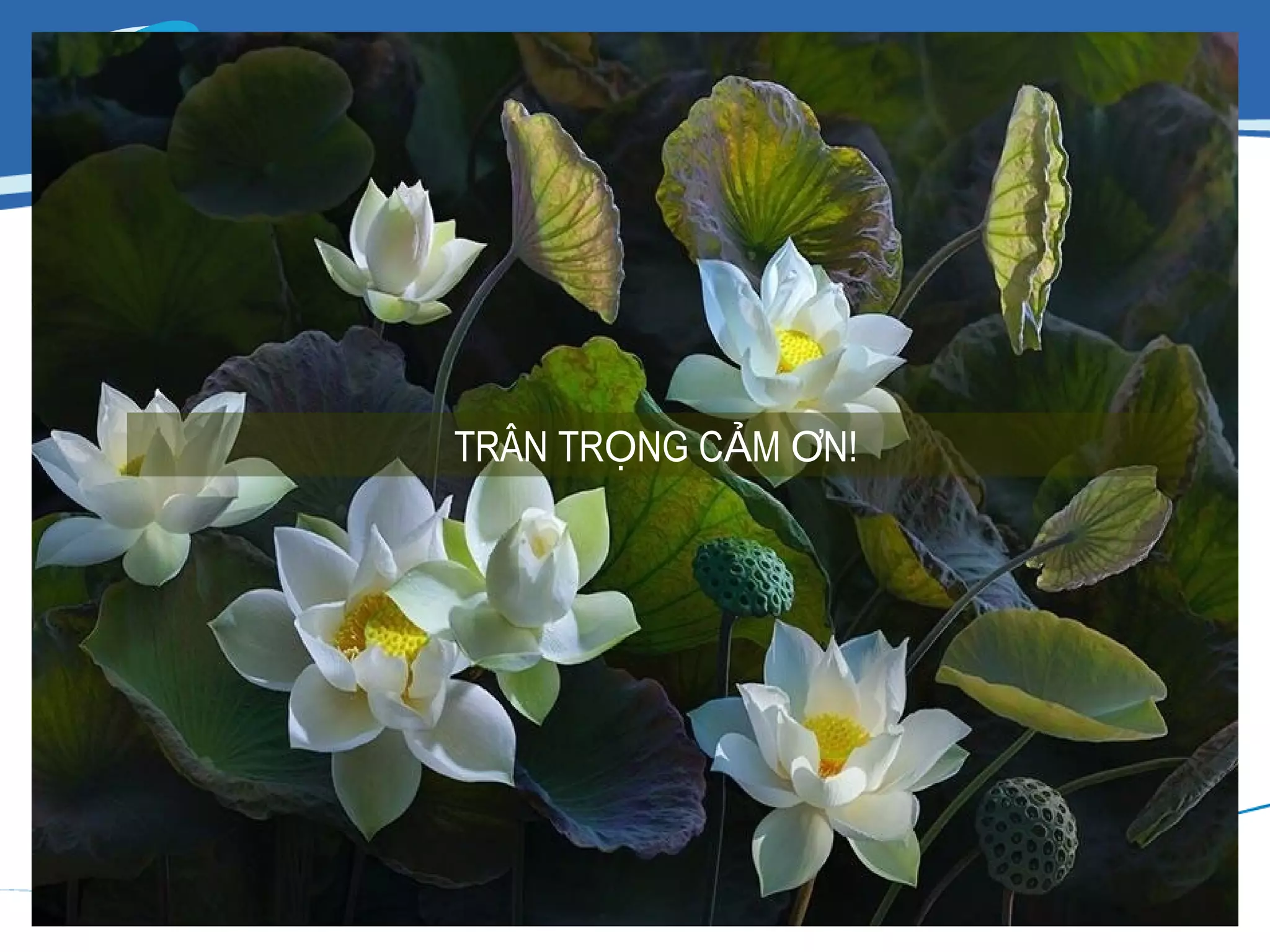 Cập nhật điều trị viêm gan B | PPT